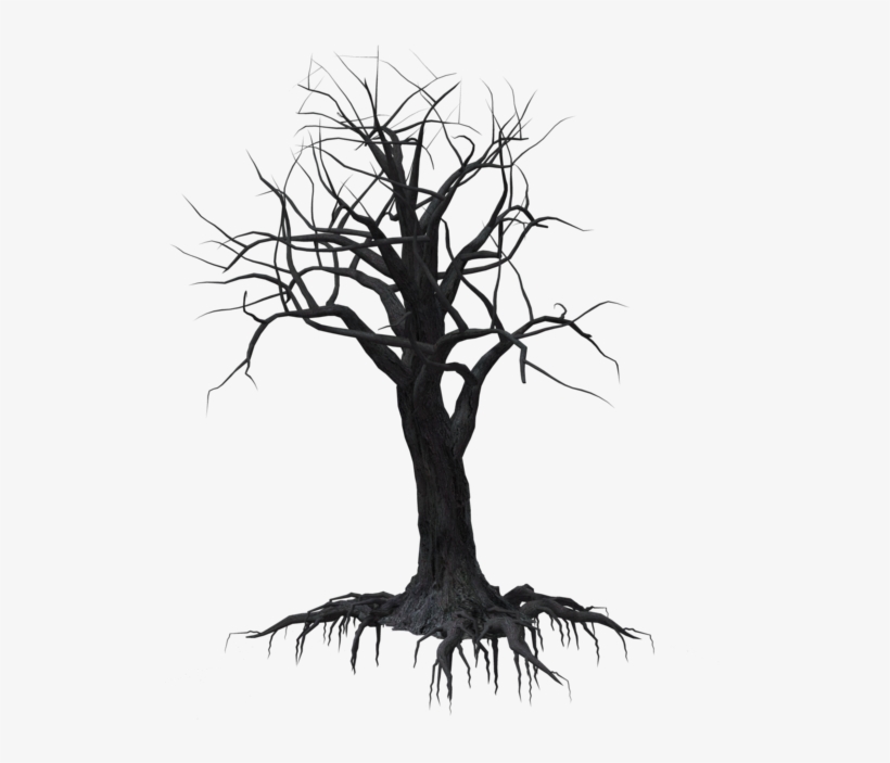Creepy Tree At Getdrawings Com Free For - Tree Creepy PNG Image ...