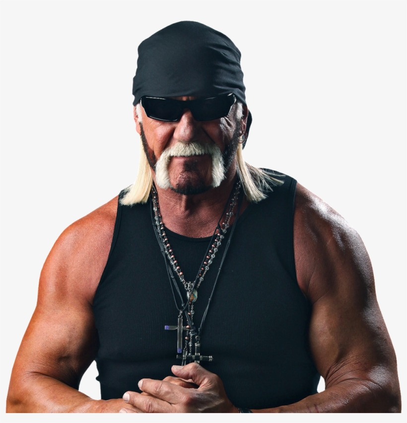 Hulk Hogan Tna - Hulk Hogan Blonde And Black Beard PNG Image ...