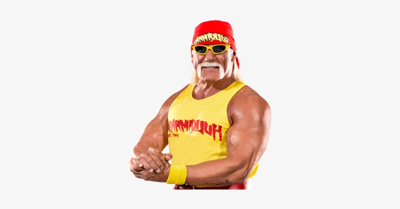 Download View Samegoogleiqdbsaucenao Hulk Hogan , - Hulk Hogan ...