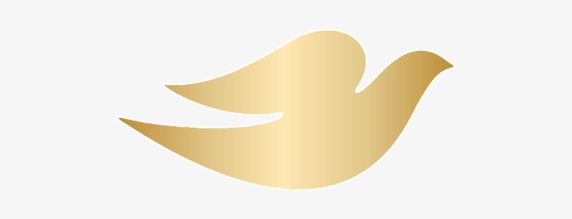 Dove Logo - Dove PNG Image | Transparent PNG Free Download on SeekPNG