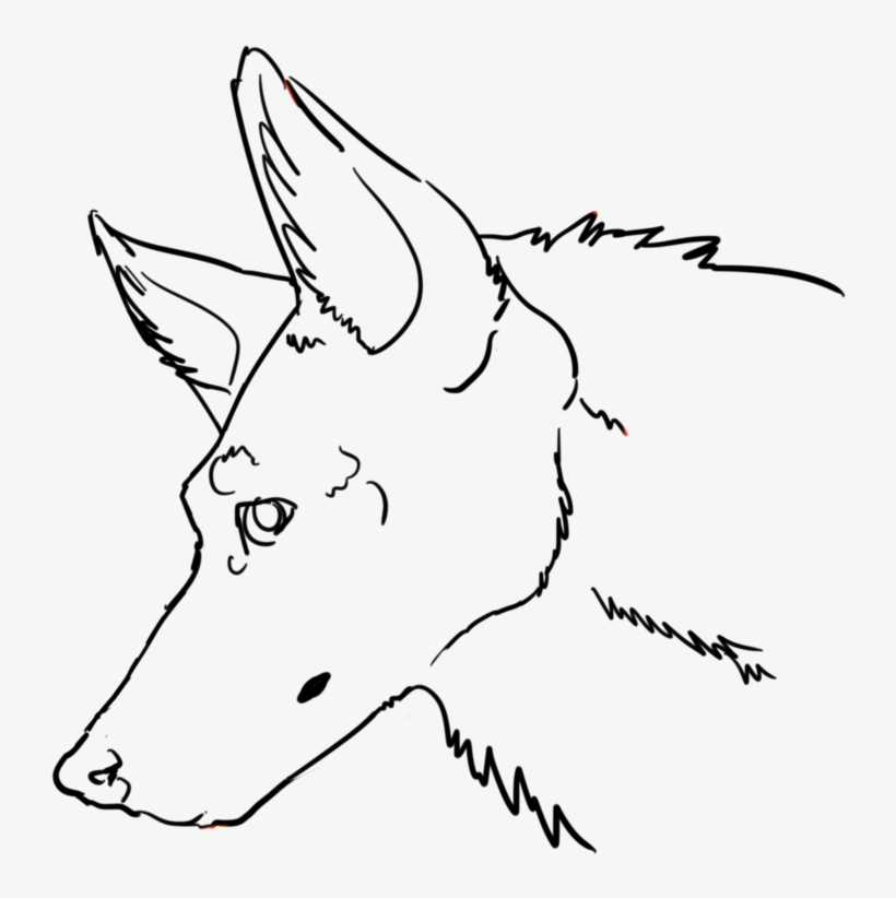 Download Coyote Drawing Hand - Coyote Base Head | Transparent PNG ...