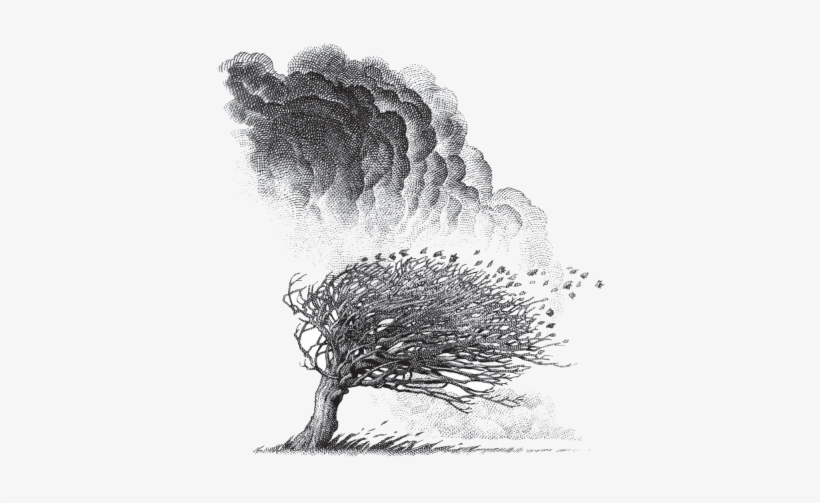 Download The Studio - Tree In Storm Sketch | Transparent PNG Download ...