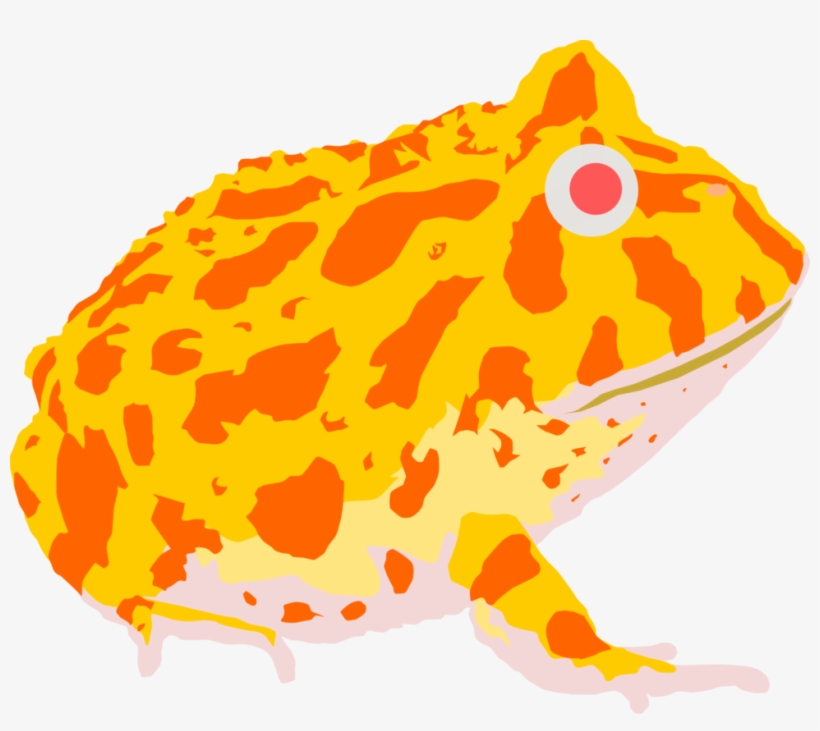 Albino Pacman Frog By Michell - Pacman Frog Clipart PNG Image ...