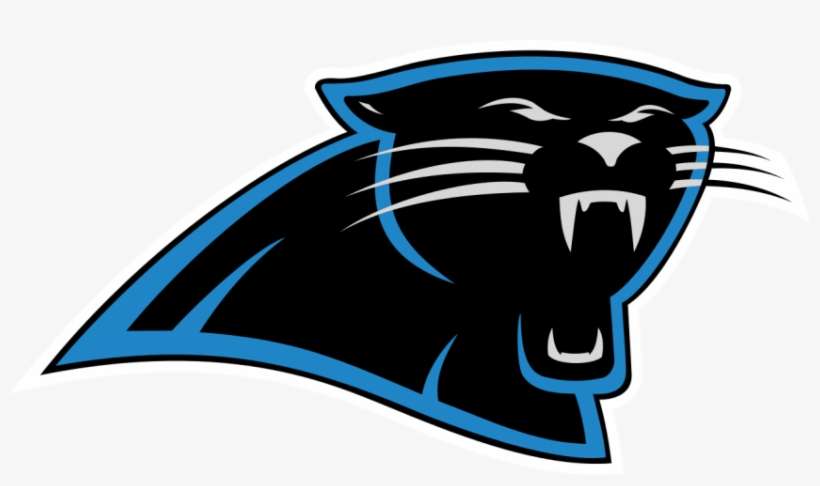 Panthers Nfl PNG Image | Transparent PNG Free Download on SeekPNG