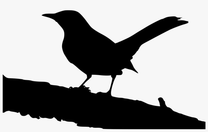 This Free Icons Png Design Of Northern Mockingbird PNG Image ...