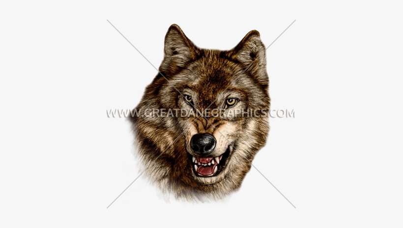 Wolf Snarl - Grey Wolf PNG Image | Transparent PNG Free Download on SeekPNG