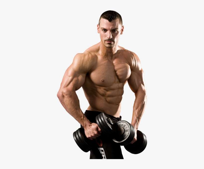 Bodybuilding Png - Fitness Model Png PNG Image | Transparent PNG Free ...