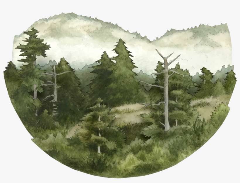 Acadia National Park, Me, PNG Image | Transparent PNG Free Download on ...