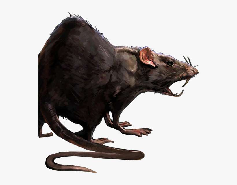 Rat Concept - Rat Concept Art PNG Image | Transparent PNG Free Download ...