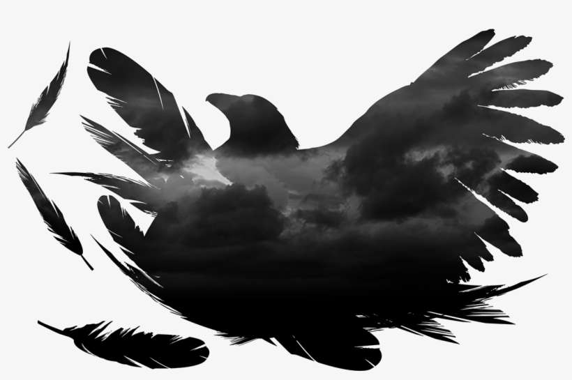 Services - Crow Design Png PNG Image | Transparent PNG Free Download on ...