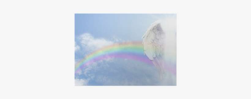 Angel Wings And Rainbow Website Banner Poster • Pixers® - Rainbow PNG ...
