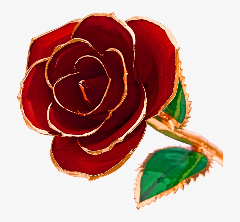 Download 24k Gold-dipped Roses - Gold Dipped Roses Steven Singer ...
