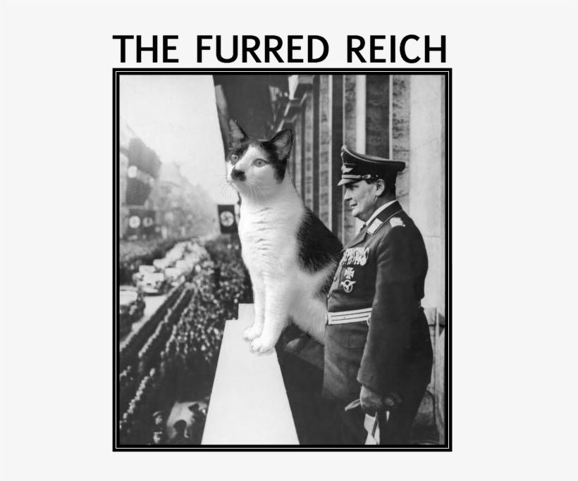 Download Click Here To - Hitler And A Cat | Transparent PNG Download ...