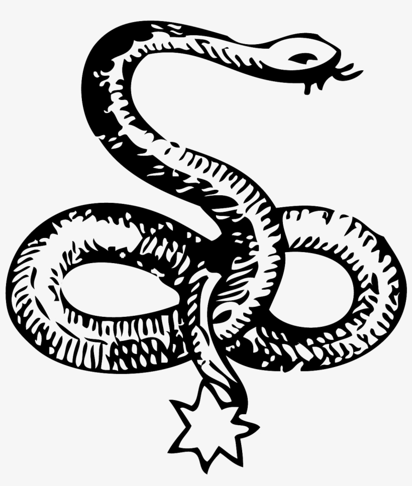 Snake - Snake Symbol PNG Image | Transparent PNG Free Download on SeekPNG