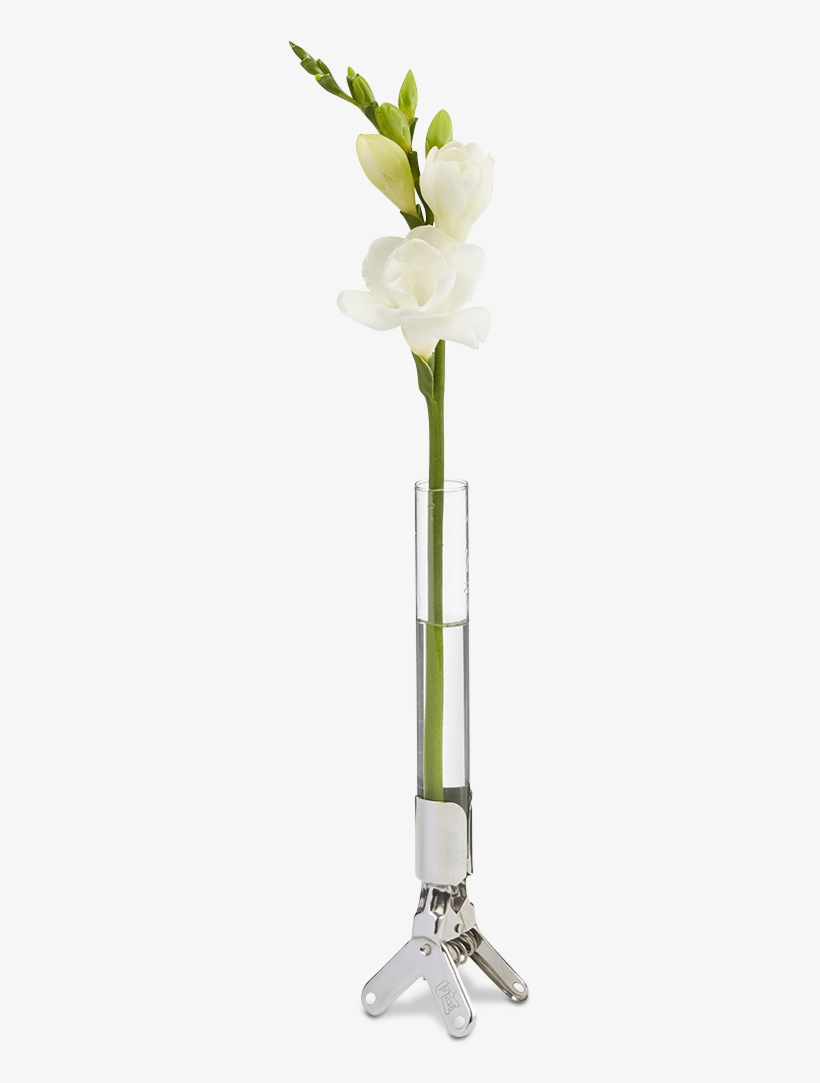 Flower Vase Png Hd - Long Flower Vase Transparent PNG Image ...