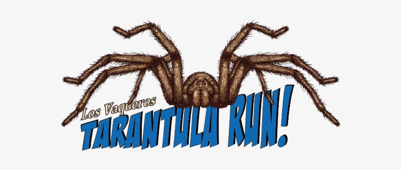 Tarantula Run - Running PNG Image | Transparent PNG Free Download on ...