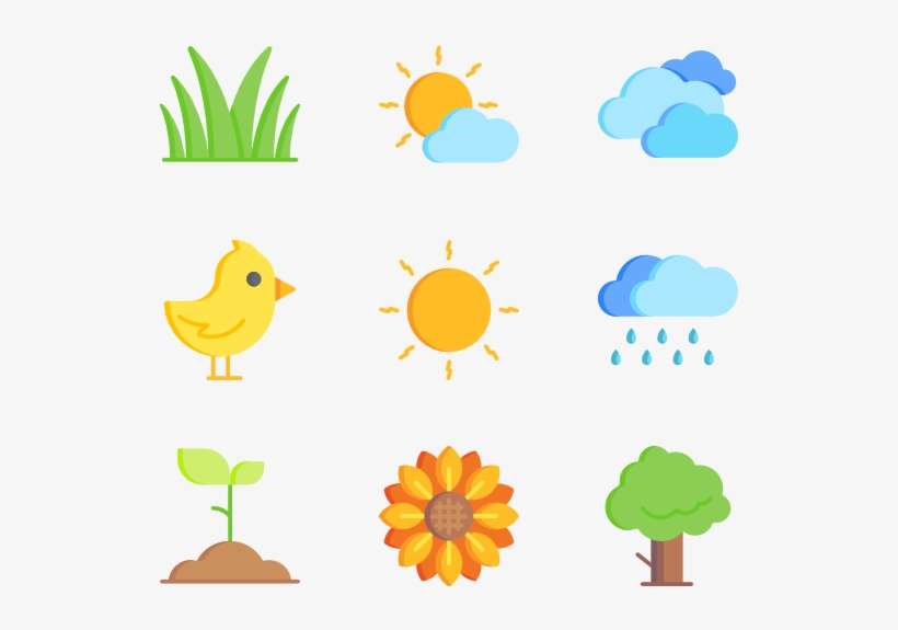 Spring 50 Icons - Flower Icon Transparent Color PNG Image | Transparent ...