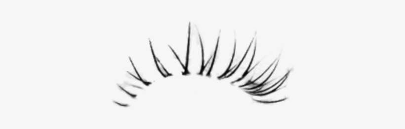 Download Eyelashes Picsart | Transparent PNG Download | SeekPNG