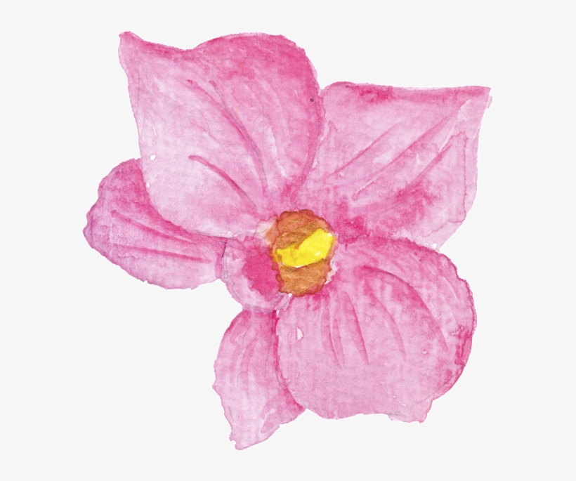 Pink Hand Painted Flower Fashion Paris Cartoon Transparent - Flower PNG ...