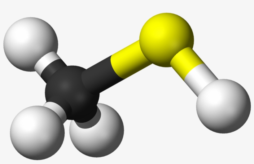 Methanethiol Molecule Model - Methyl Mercaptan PNG Image | Transparent ...