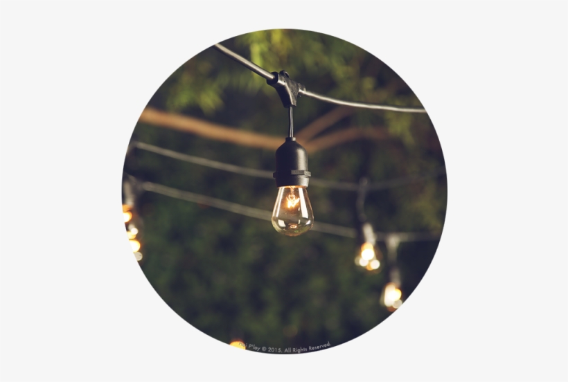 Hoi P'loy String Light - Gumtree PNG Image | Transparent PNG Free ...