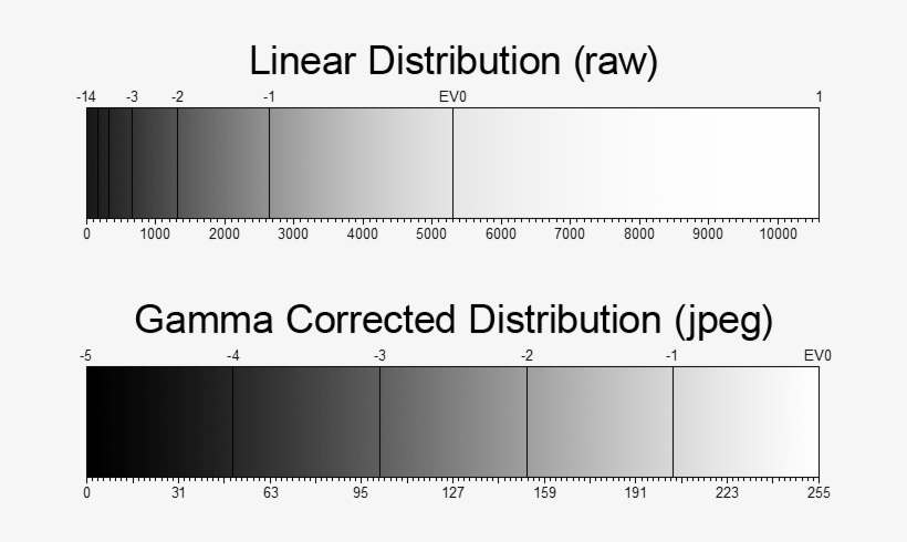 Download Linear Distribution Versus Gamma Corrected Distribution ...