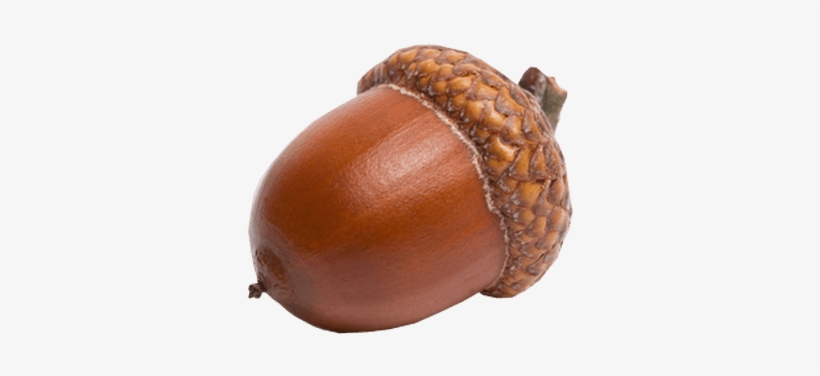 Sideview Acorn - Holy It!: A Guide To Finding And Doing Your Thing ...