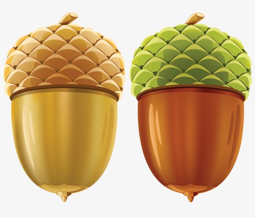 Nuts Vector PNG Image | Transparent PNG Free Download on SeekPNG