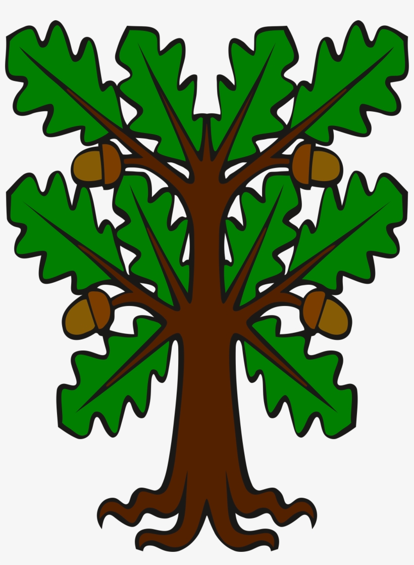 Oak Tree With Acorns Clip Art