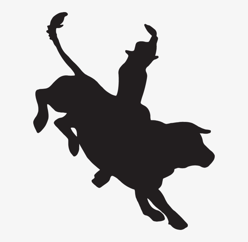 Bucking Bull Silhouette