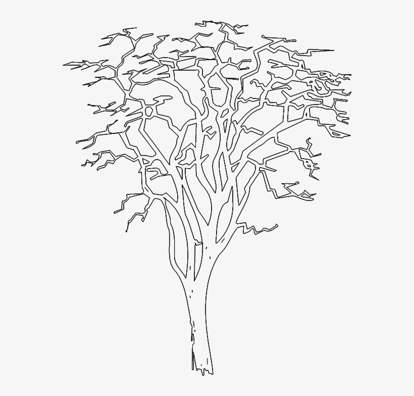Tree For Elevation Design PNG Image | Transparent PNG Free Download on ...