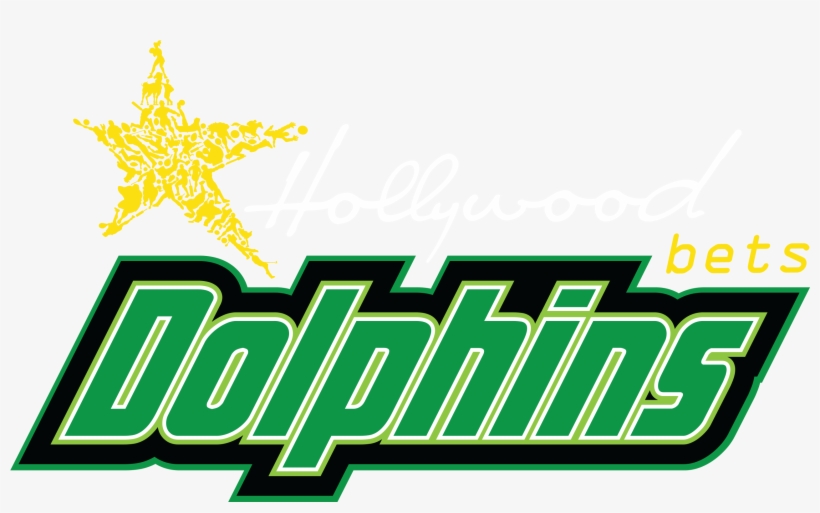 Sunfoil Dolphins PNG Image | Transparent PNG Free Download on SeekPNG
