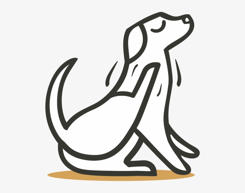 Ditch The Itch - Dog PNG Image | Transparent PNG Free Download on SeekPNG