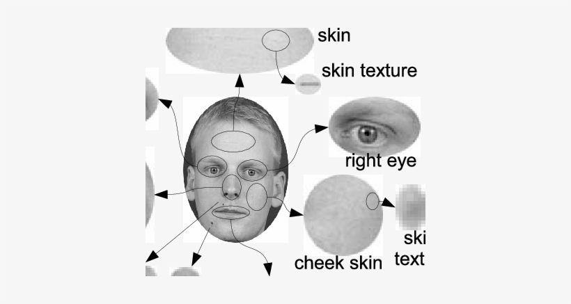 The Decomposition Of Face - Amber Bongard PNG Image | Transparent PNG ...