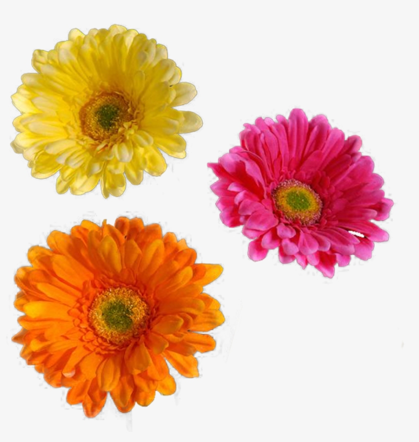 Real Flower Png Jpg Stock - Flower PNG Image | Transparent PNG Free ...