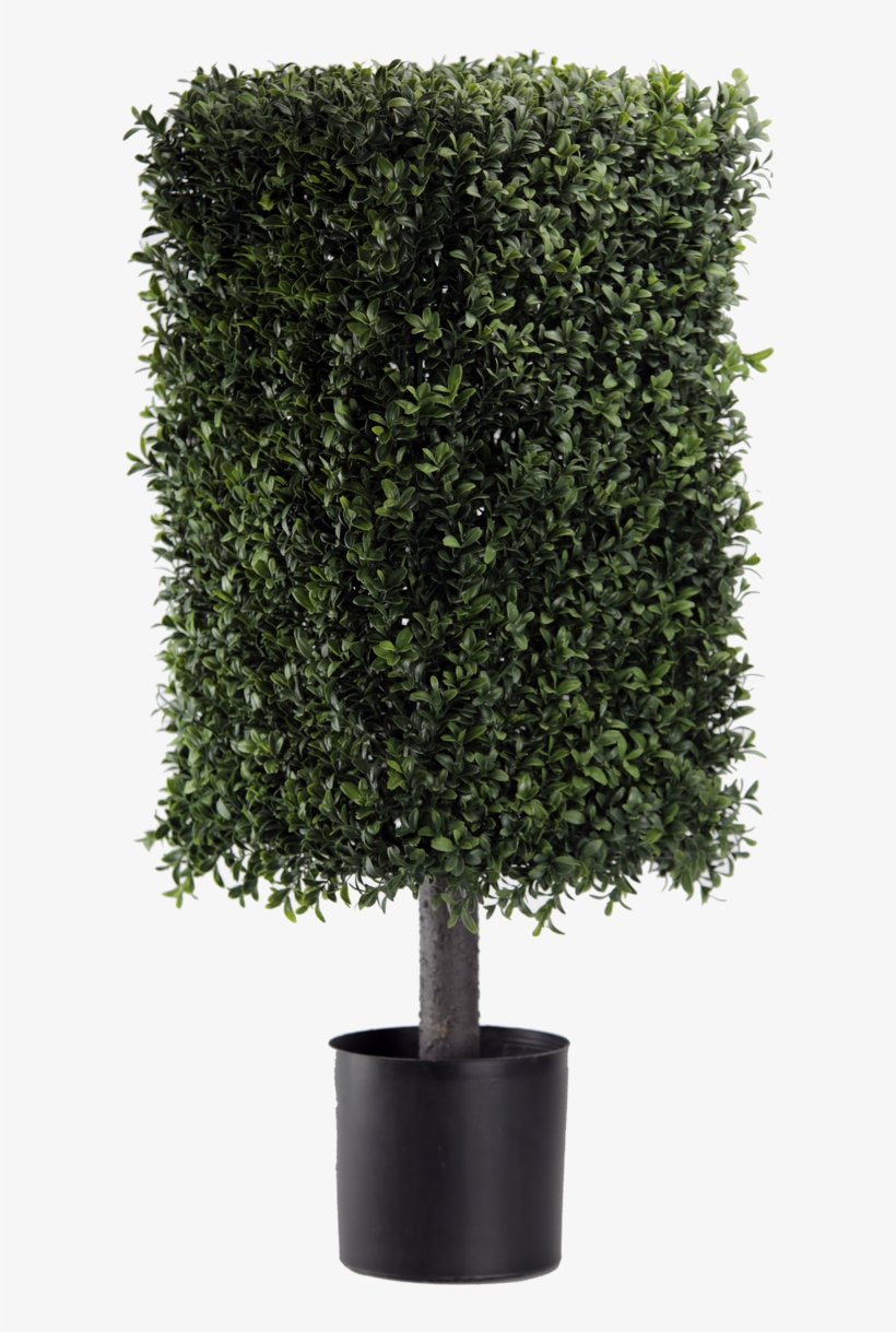 Topiary Png PNG Image | Transparent PNG Free Download on SeekPNG