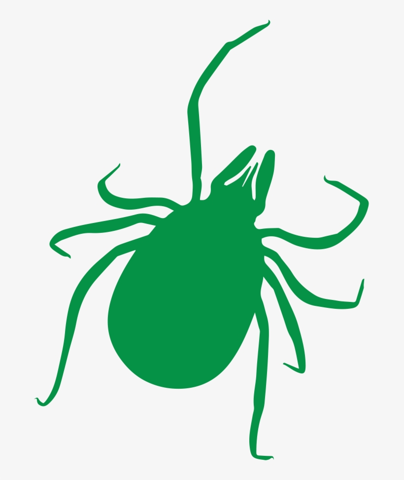 Tick PNG Image | Transparent PNG Free Download on SeekPNG