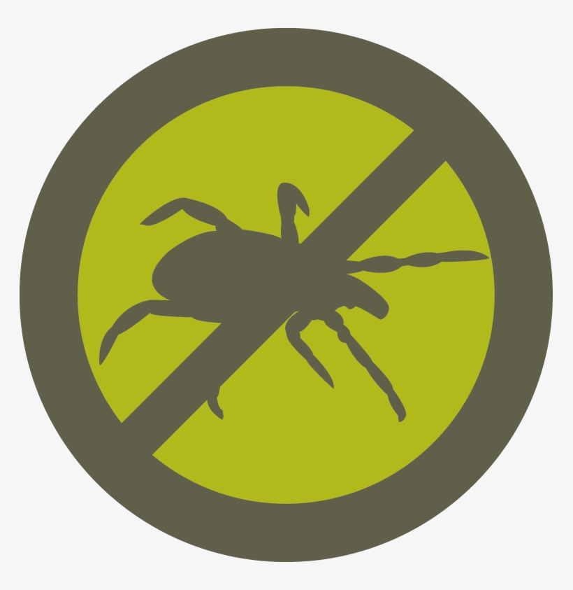 No Ticks - Tick PNG Image | Transparent PNG Free Download on SeekPNG