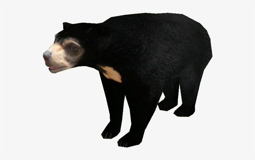 Malayan Sun Bear - Zoo Tycoon Sun Bear PNG Image | Transparent PNG Free ...