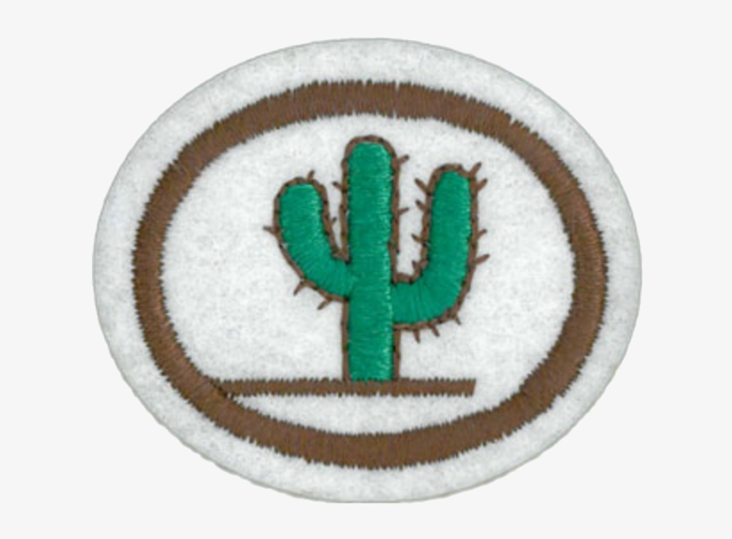 Cacti Honor - Cactus PNG Image | Transparent PNG Free Download on SeekPNG
