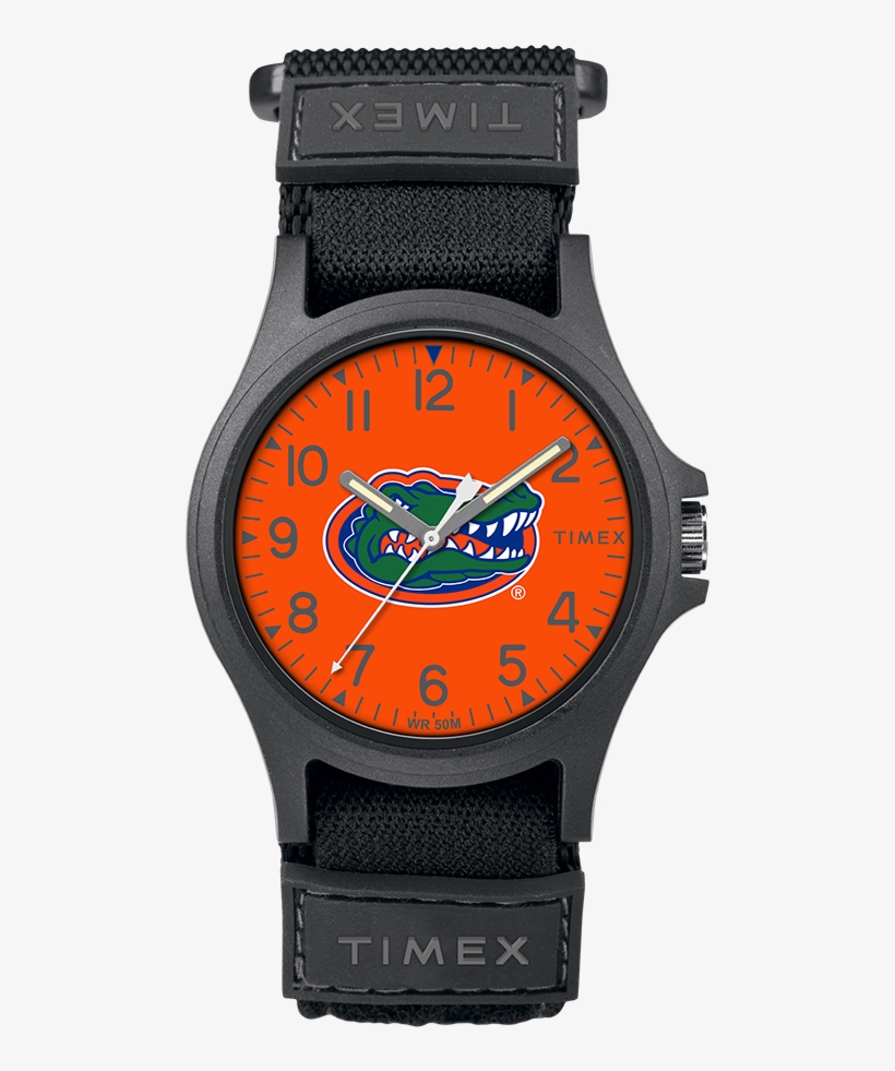 Pride Florida Gators - Timex® Men's Expedition Acadia Green/black Fast ...