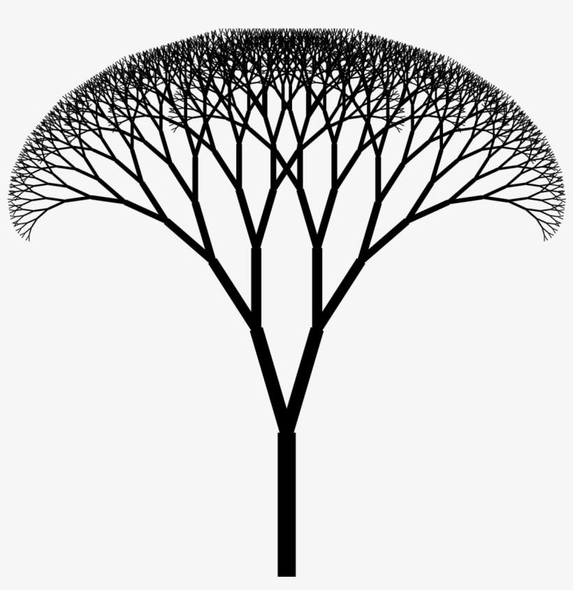 Fractal Canopy PNG Image | Transparent PNG Free Download on SeekPNG