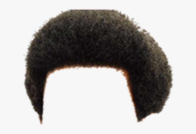 Hair Afro Png PNG Image | Transparent PNG Free Download on SeekPNG