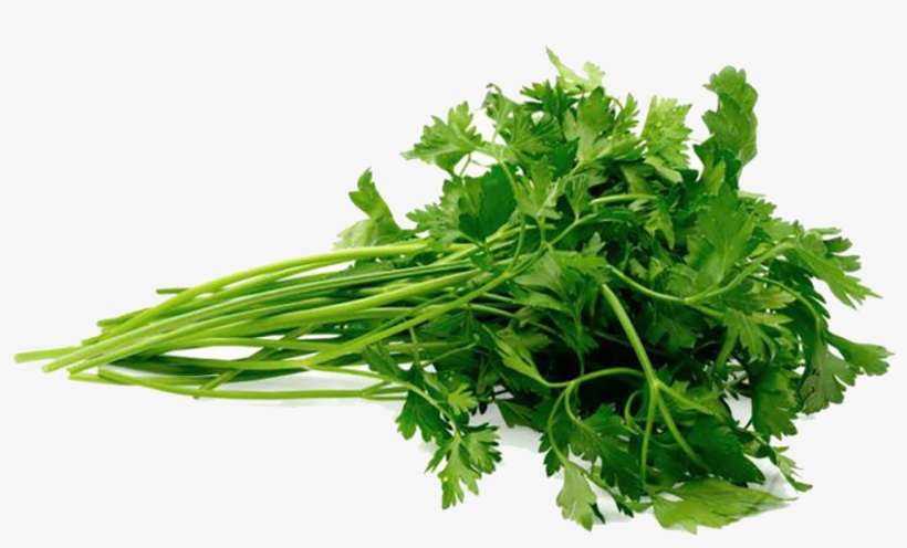 Organic-parsley - Fresh Parsley PNG Image | Transparent PNG Free ...