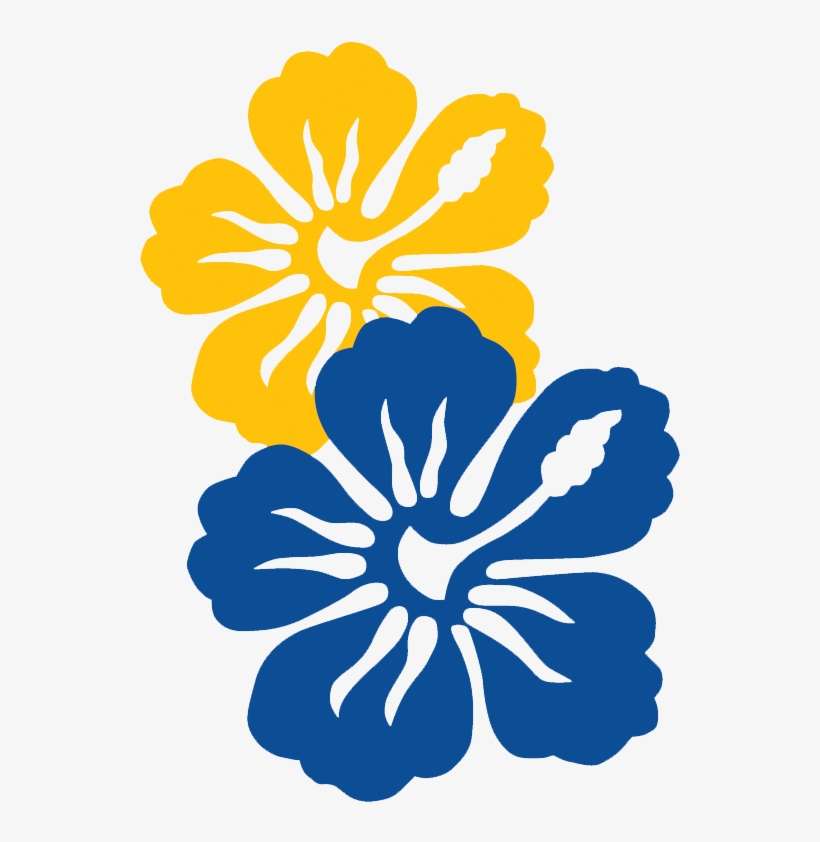 Hibiscus Clipart December Flower - Pacific Islander Flower Png PNG ...