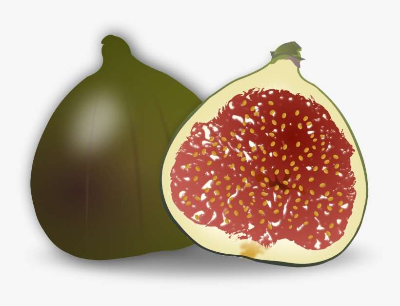 Pomegranate Clipart Animated - Clip Art Of Fig PNG Image | Transparent ...