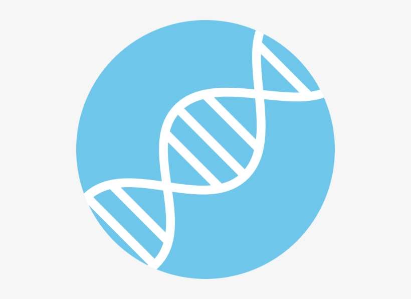 Evolution Transparent Icon - Cover Biology Book Vector PNG Image ...