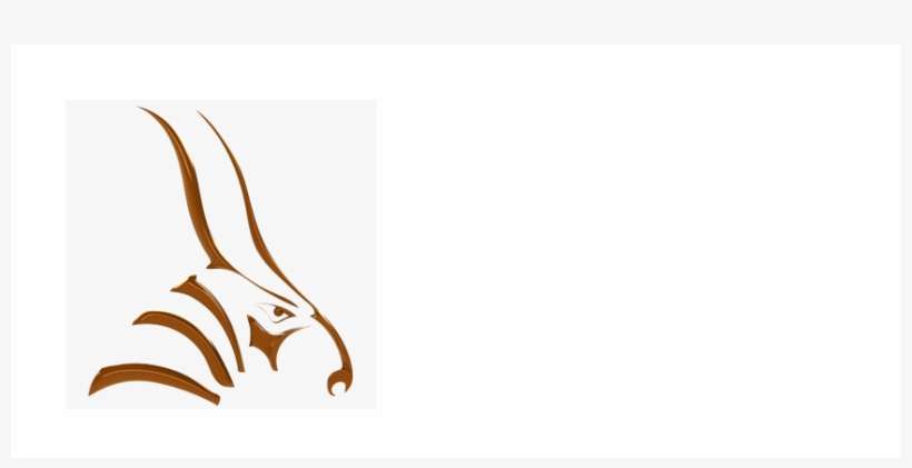 Bongo - Bat PNG Image | Transparent PNG Free Download on SeekPNG