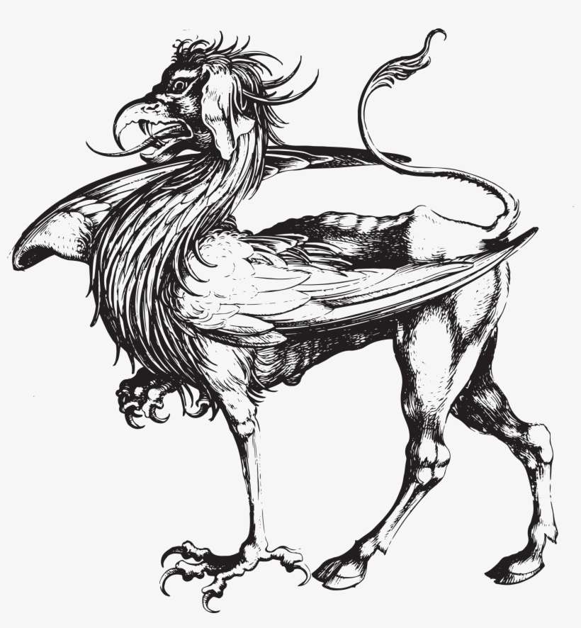 Griffin Renaissance Rooster Drawing Legendary Creature - Griffin ...