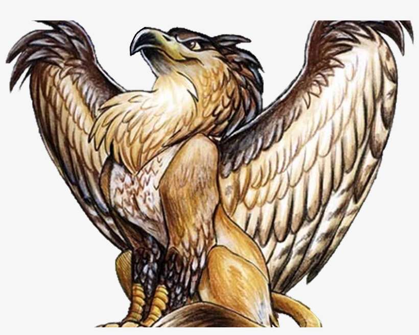 Half Eagle Half Lion Face